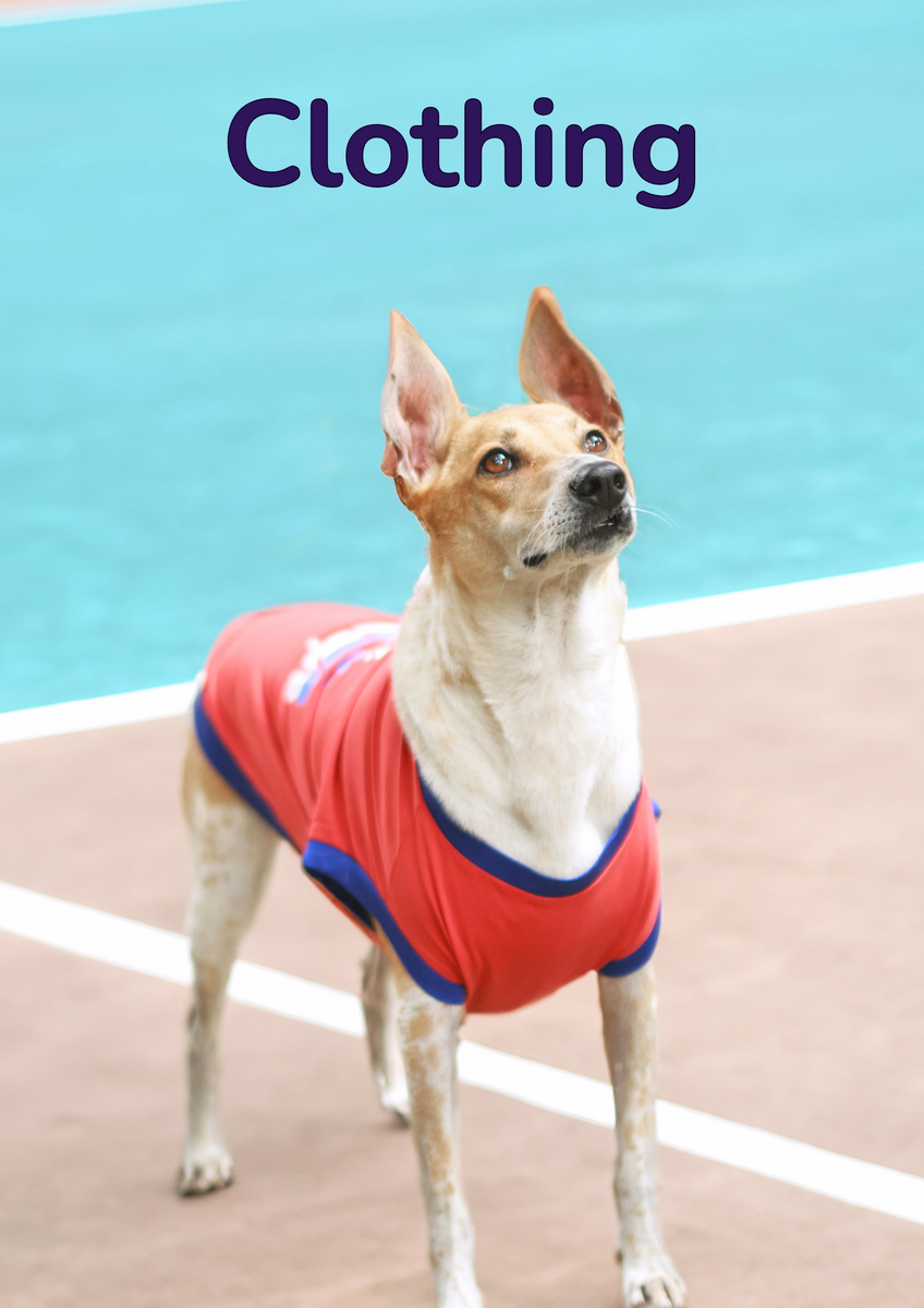 Buy Dog Clothes – Stylish, Comfortable & Affordable at Pet Set Go