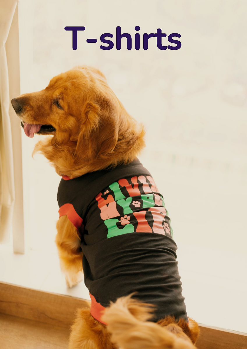 T-Shirts – Pet Set Go