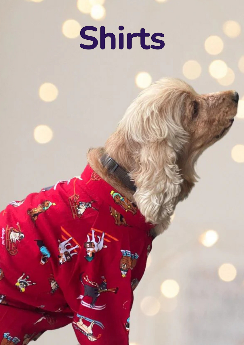 Shop Dog Shirts – Stylish, Lightweight & Comfy for All Breeds – Pet Set Go