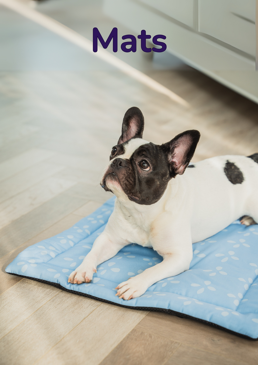 Shop Coziest Dog Mats – Lightweight, Soft & Travel-Friendly – Pet Set Go
