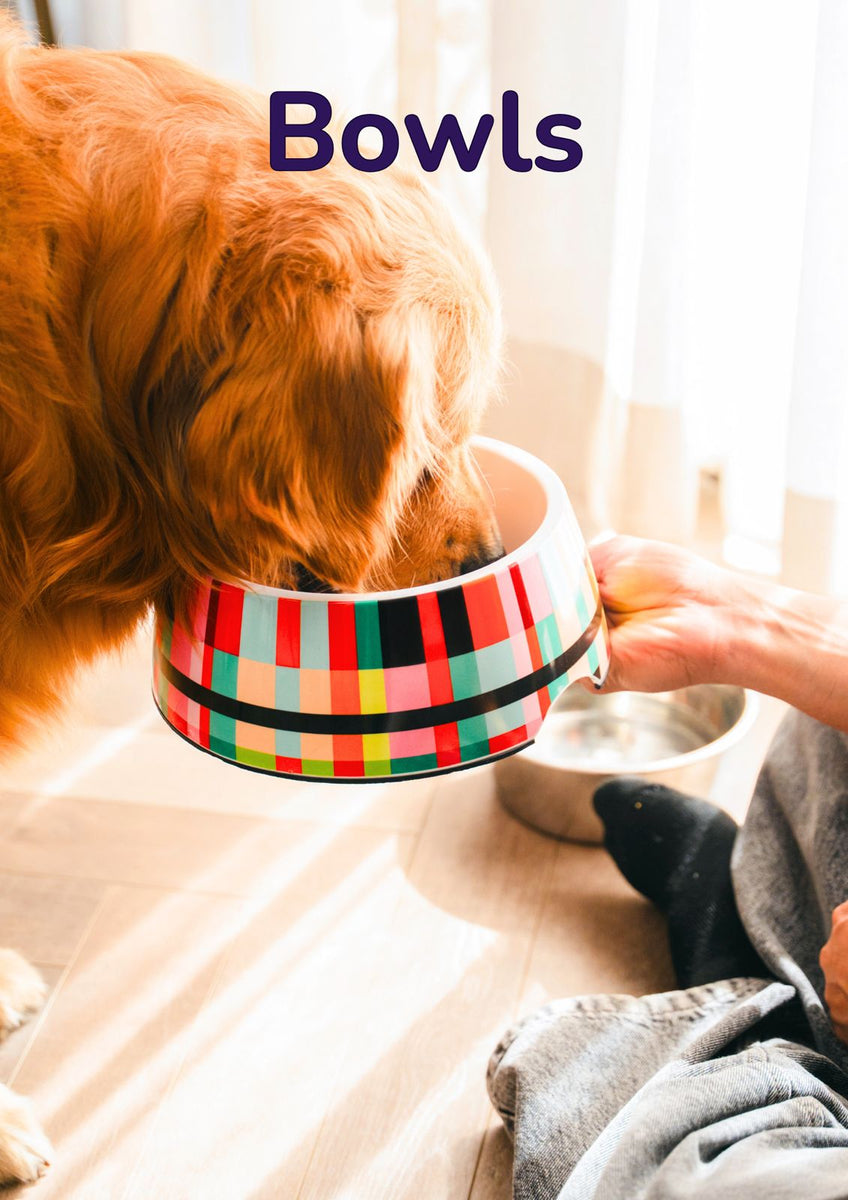 Shop Dog Bowls- Durable, Non-Slip & Easy to Clean – Pet Set Go