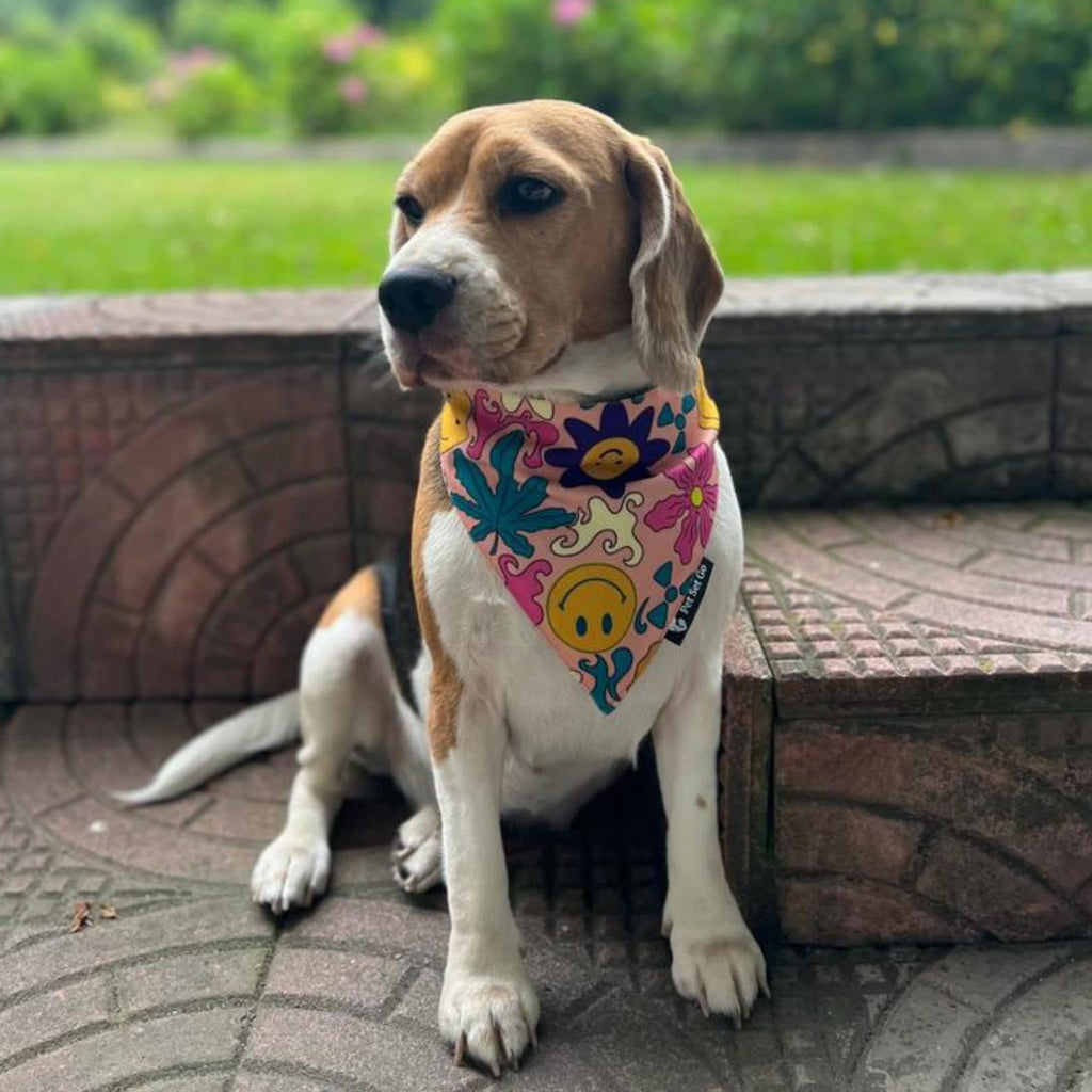 Pet Set Go - Pet Clothing, Pet Toys and Pet T-shirts