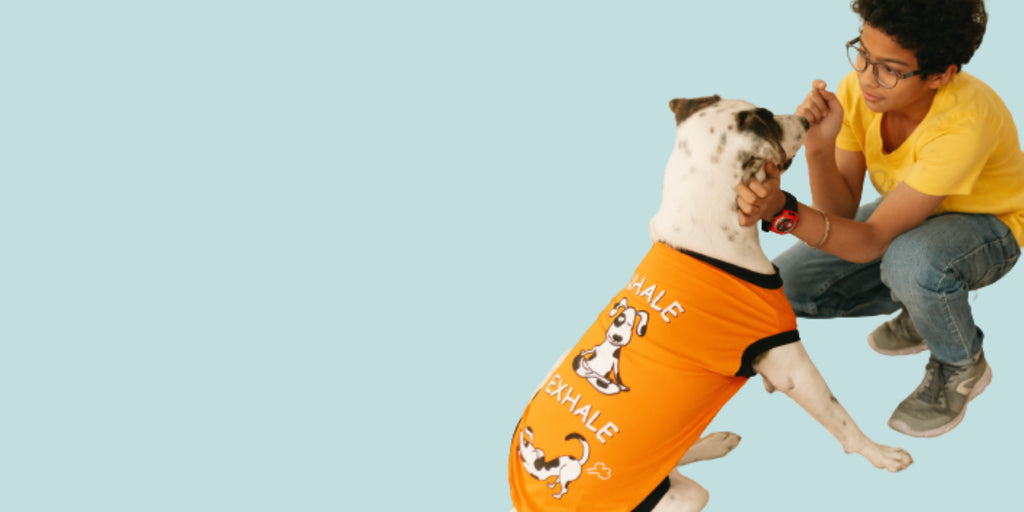Pet Set Go - Pet Clothing, Pet Toys and Pet T-shirts
