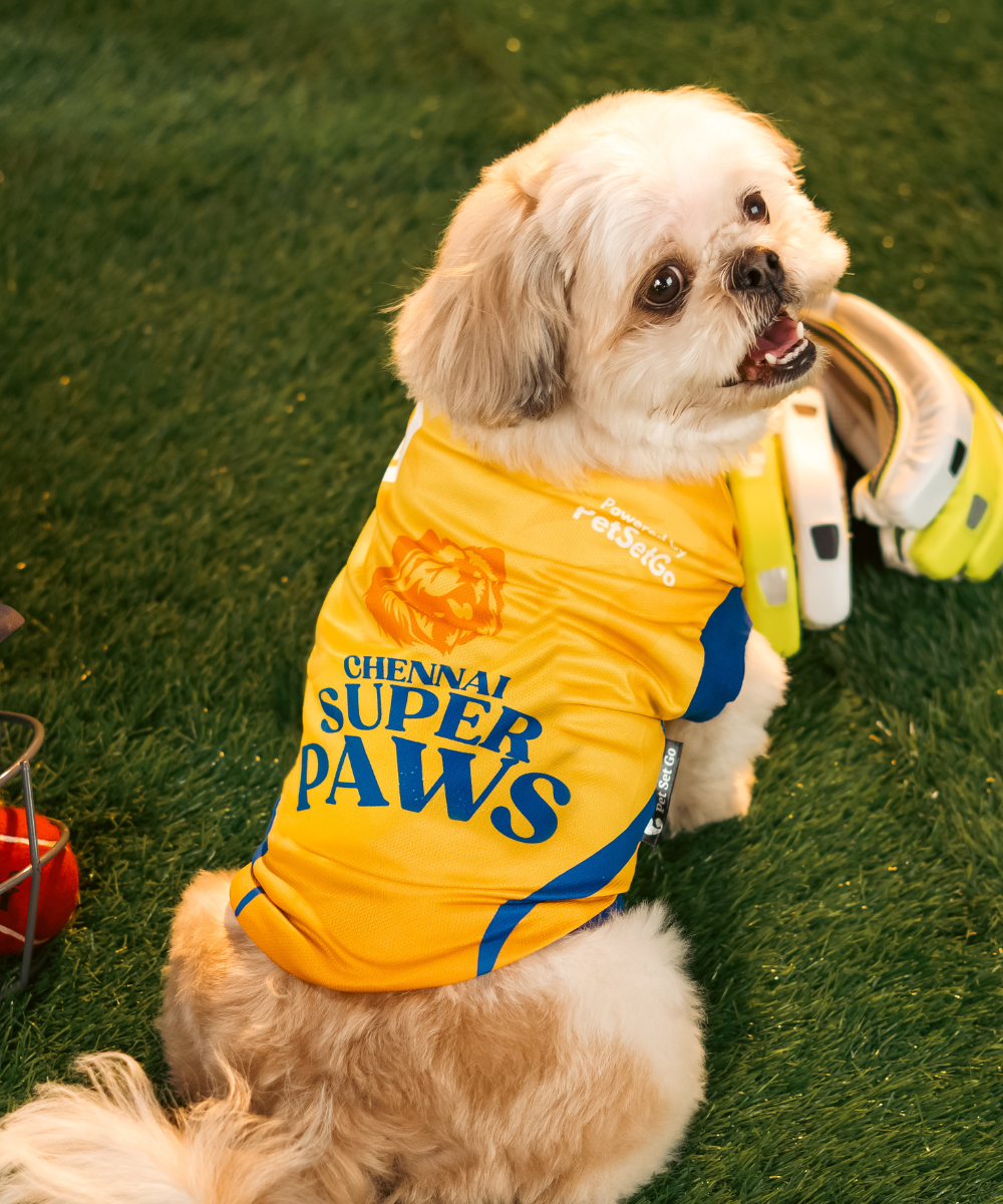 Chennai Super Paws IPL Dog Jersey - Soft, Stylish & Fit All Breeds ...