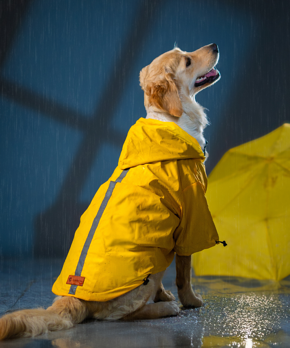Full Coverage Waterproof Dog Raincoat- Yellow – Pet Set Go