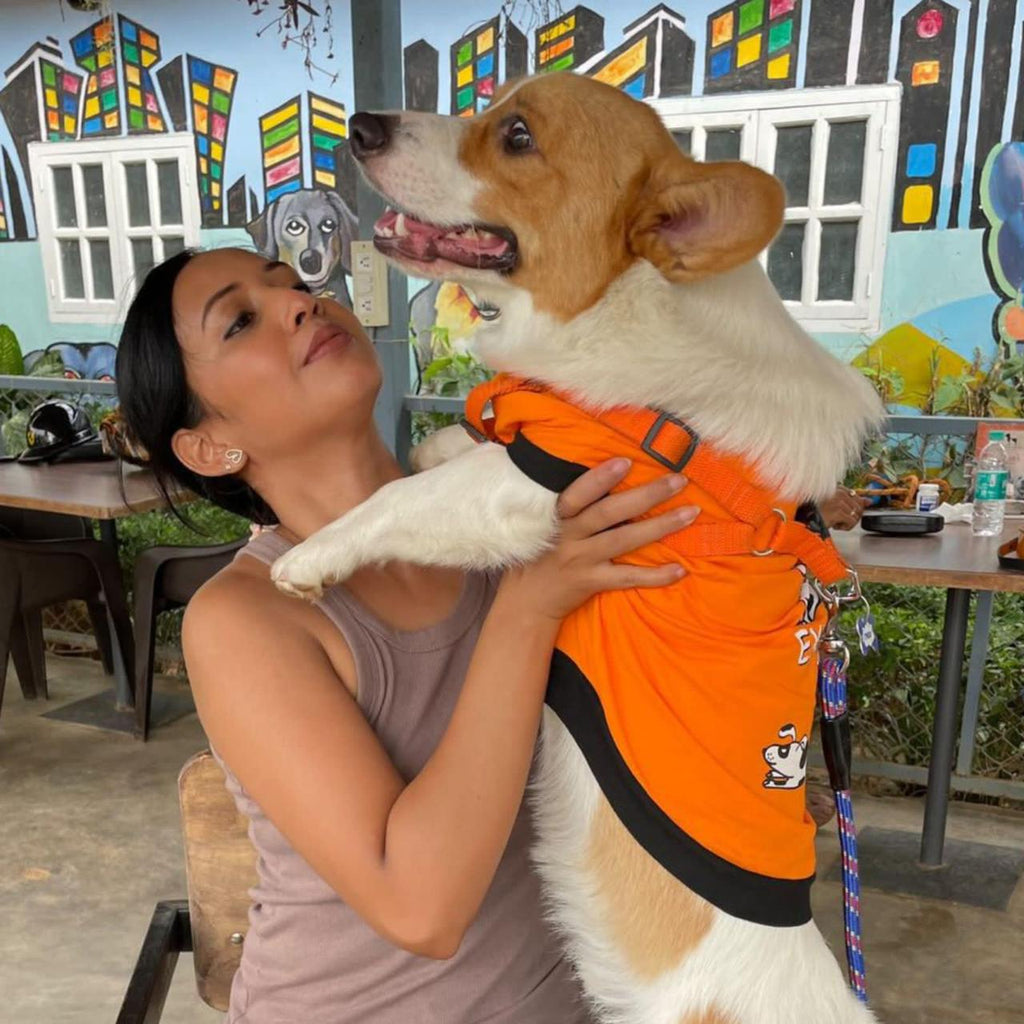 Pet Set Go - Pet Clothing, Pet Toys and Pet T-shirts