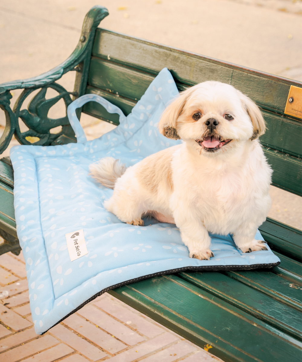 Sky Bloom Summer Pet Mat – Soft, Non-Slip & Travel-Friendly by Pet Set Go