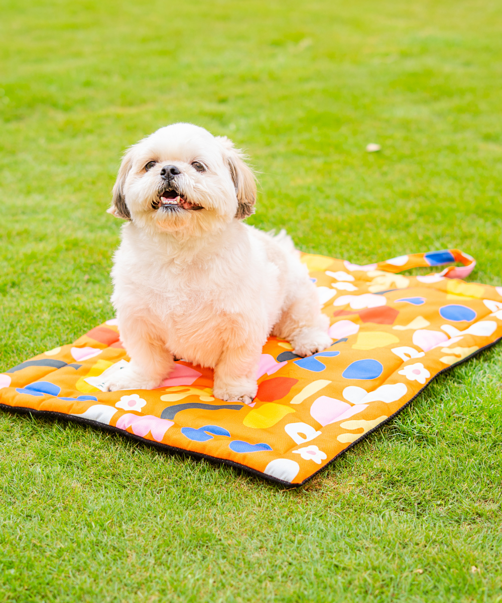 Blossom Bliss Summer Pet Mat – Soft, Non-Slip & Travel-Friendly by Pet ...