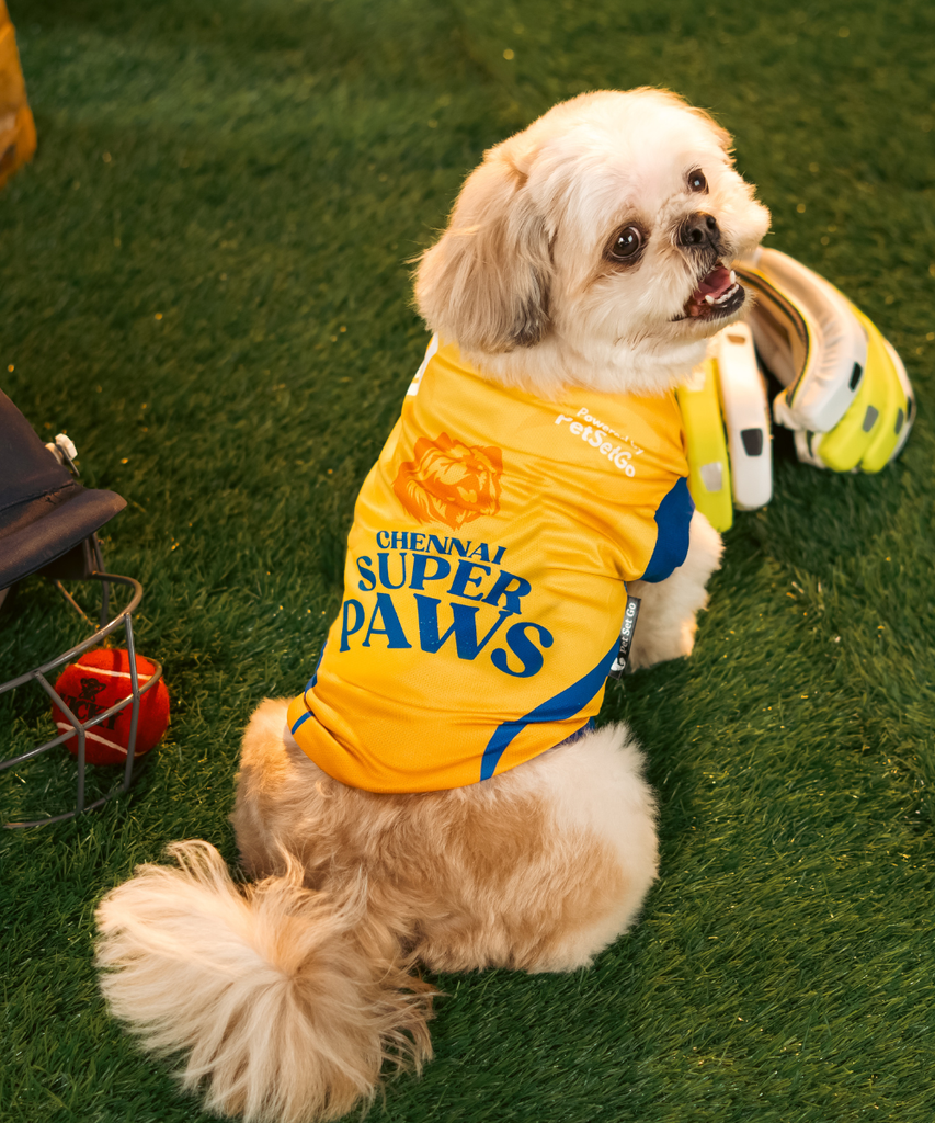 IPL Jersey – Pet Set Go