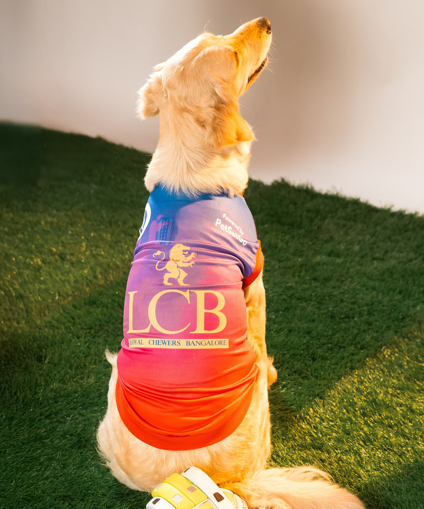 IPL Jersey – Pet Set Go
