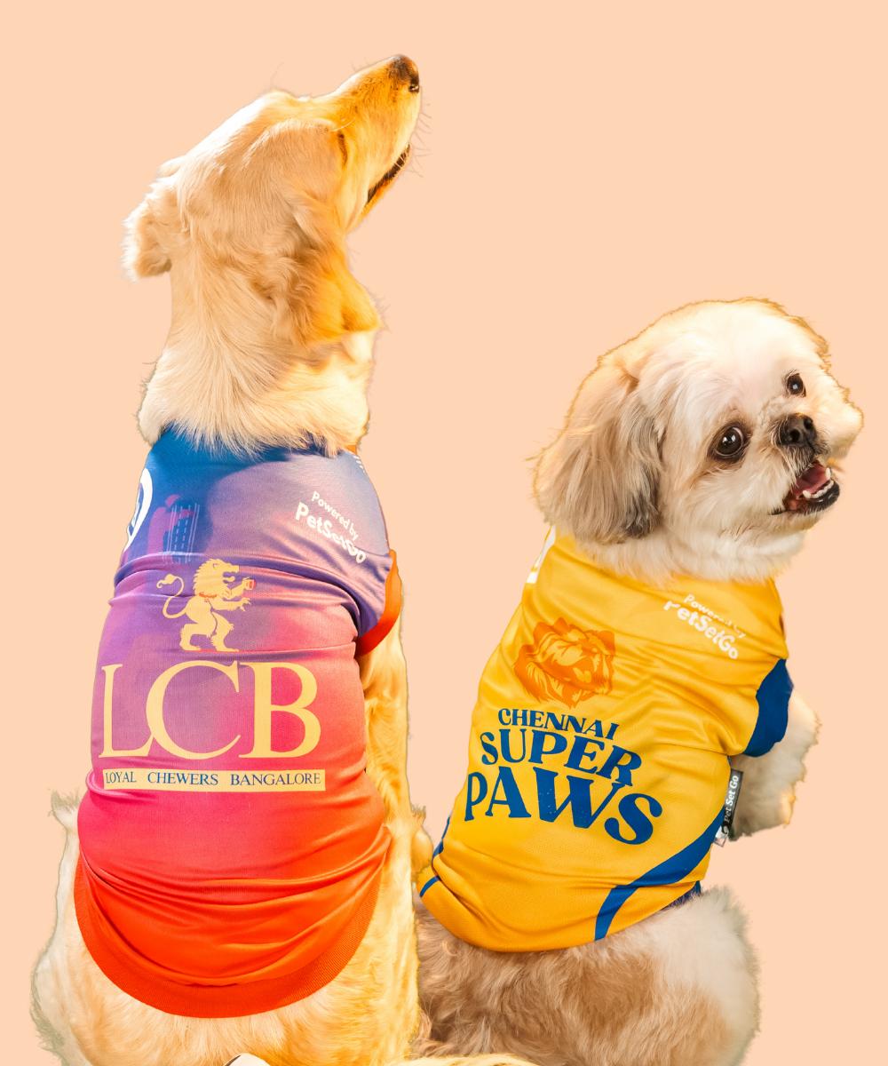 Pack of 2 IPL Dog Jersey - PawPlay - Soft, Stylish & Fit All Breeds ...