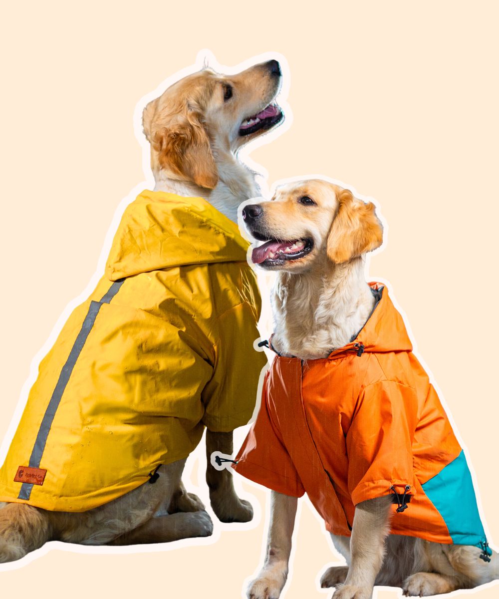 Sprinkle Dog Raincoats Pack of 2 – Pet Set Go