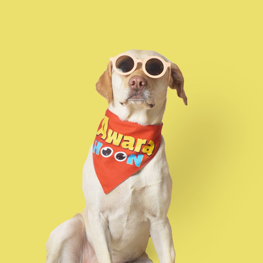 Awara Hoon Dog Bandana – Pet Set Go