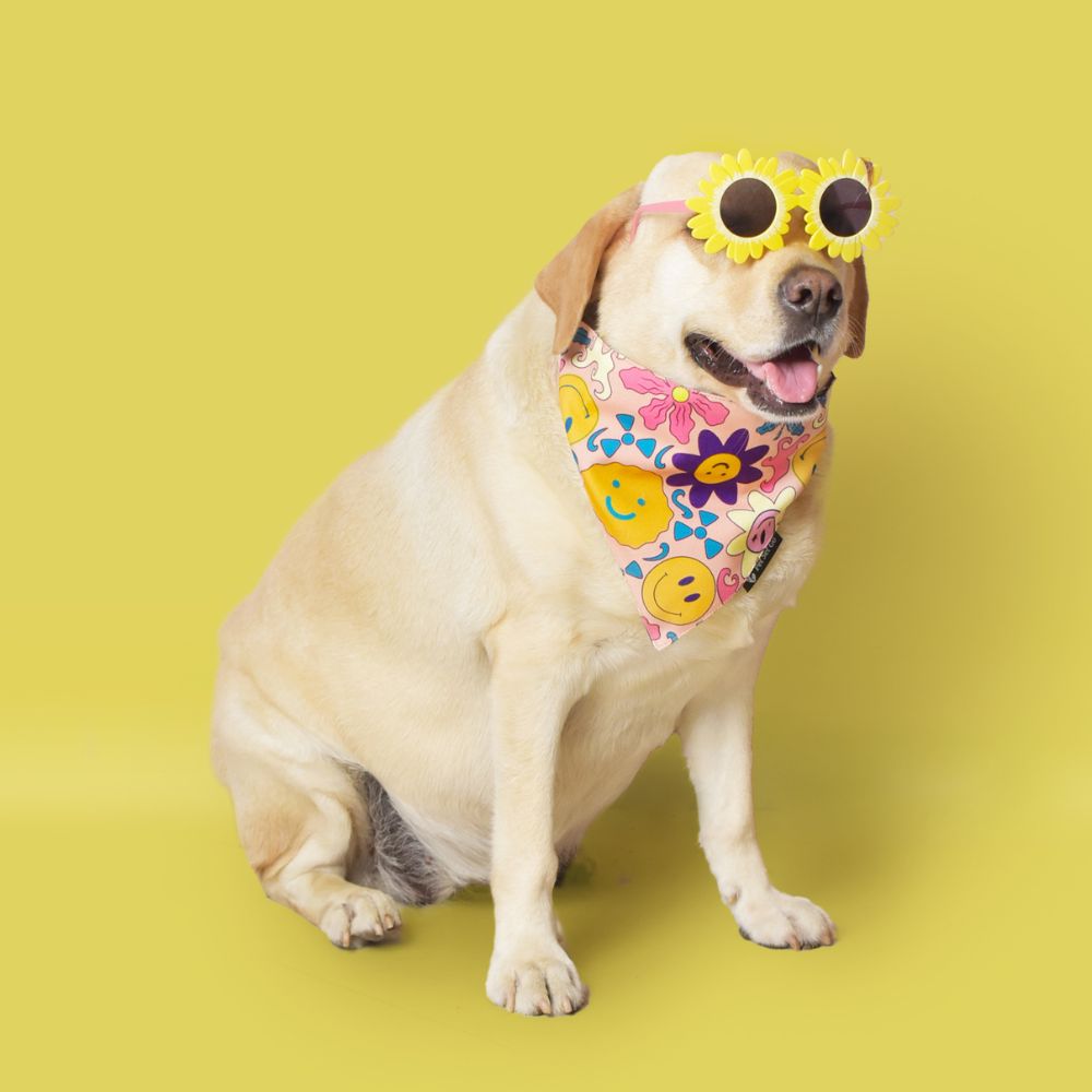Smileys Dog Bandana – Pet Set Go